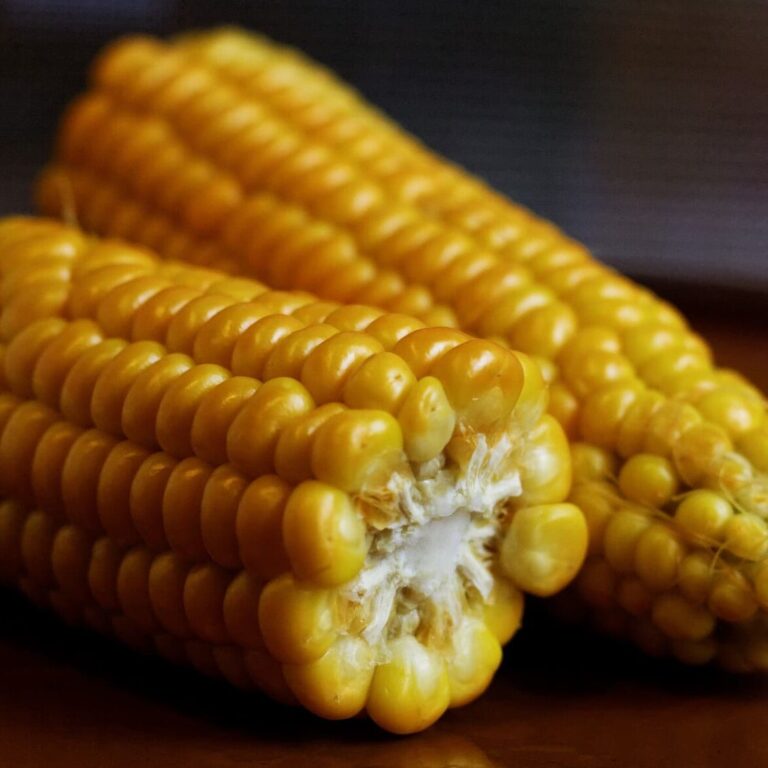 ⇨ Receta de ensalada de Choclo o Maíz